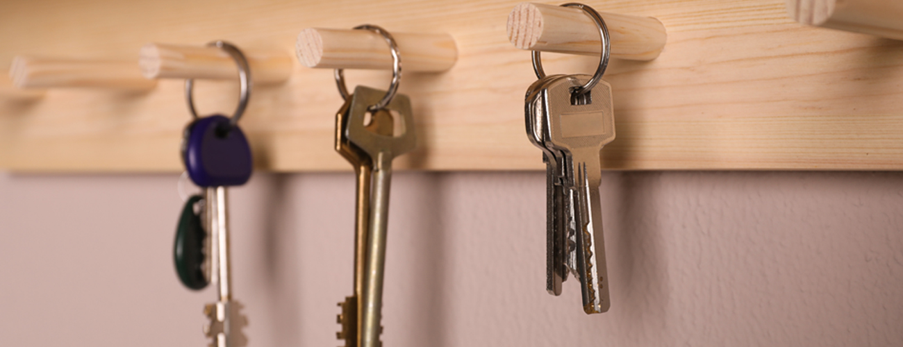 How to not lose your keys - Echidna Lock & Key - Perth